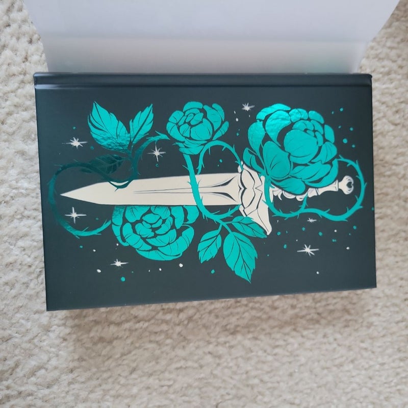 Until the stars fall by Vanessa Rasanen, Hardcover | Pangobooks