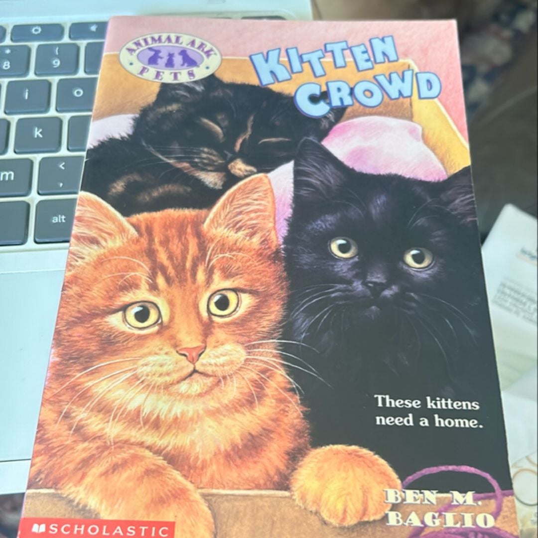 Kitten Crowd by Lucy Daniels, Ben M. Baglio