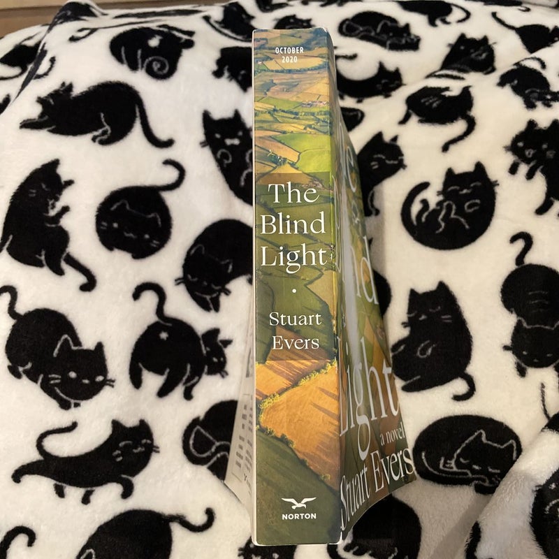 The Blind Light by Stuart Evers