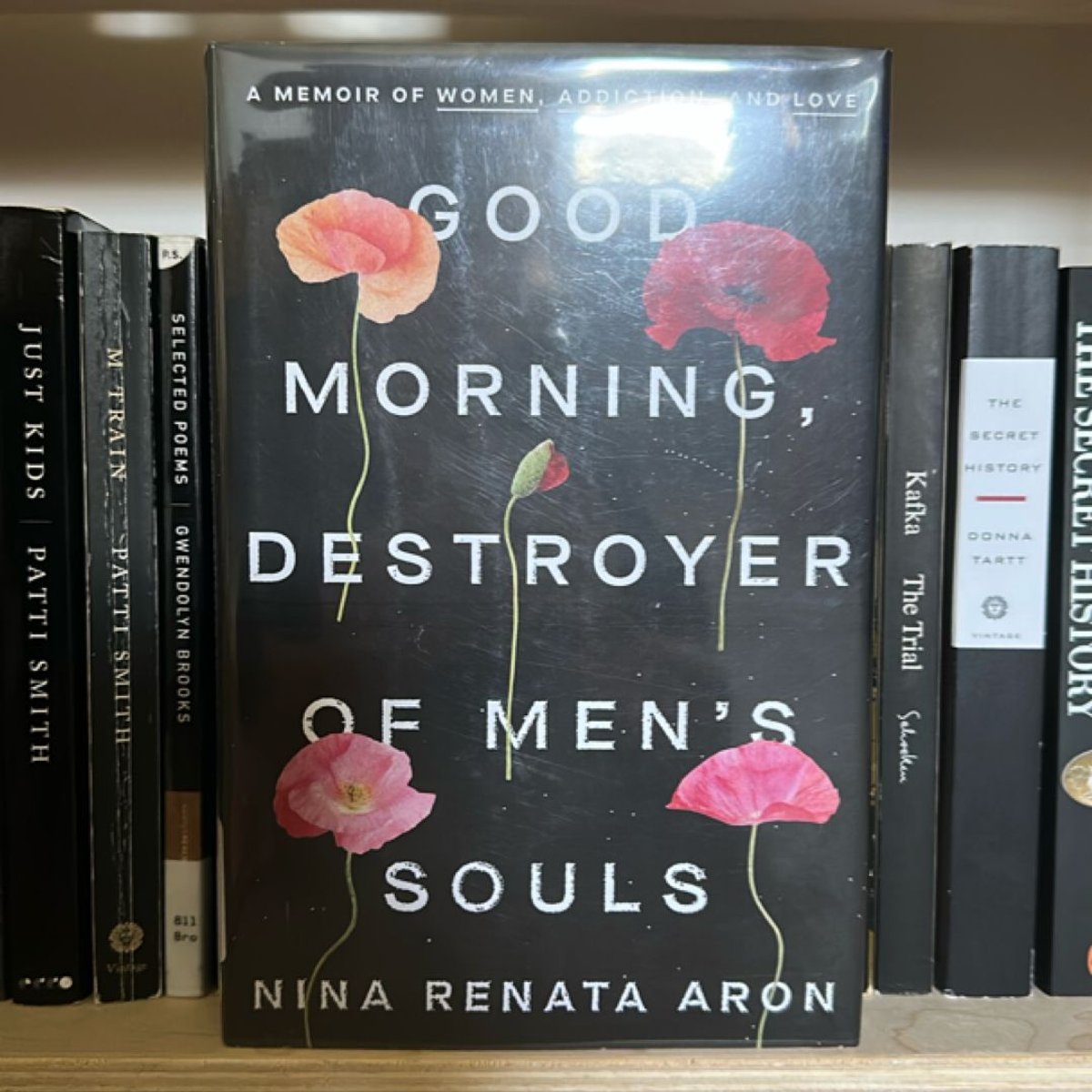 Good Morning, Destroyer of Men's Souls by Nina Renata Aron