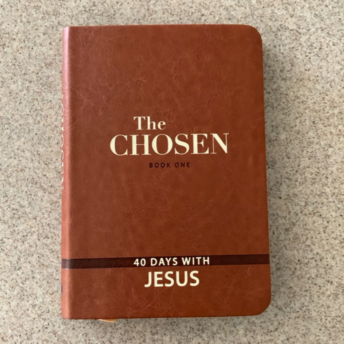 The Chosen Book One by Amanda Jenkins, Kristen Hendricks, Dallas Jenkins