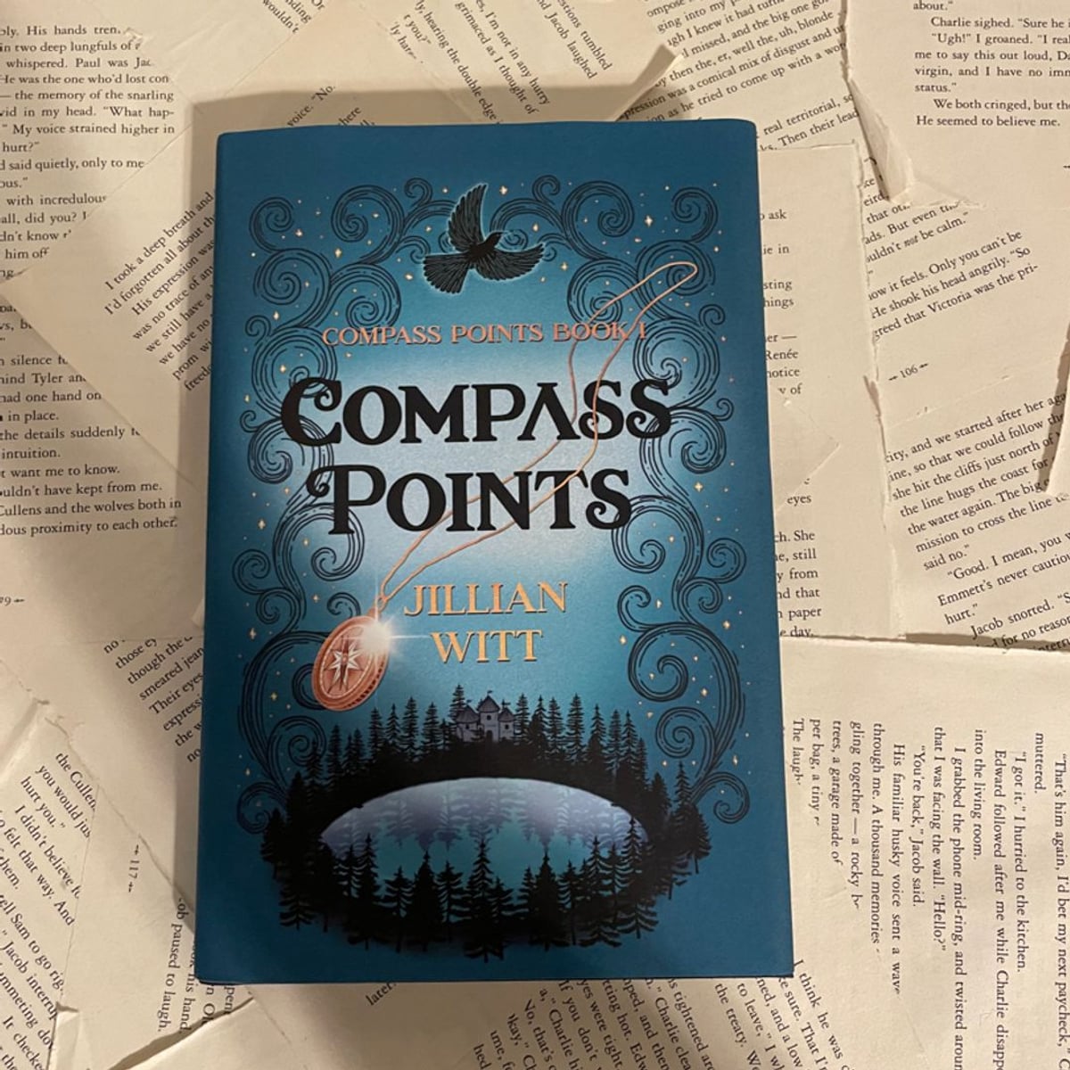 Compass Points by Jillian Witt, Hardcover | Pangobooks