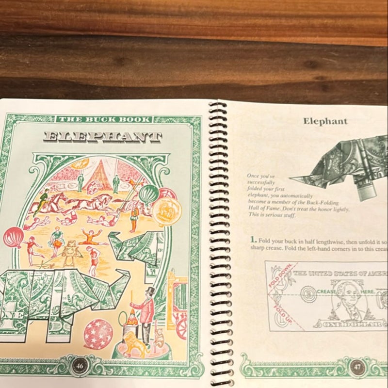 The Buck Book by Anne Akers Johnson