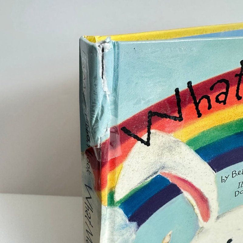 What Makes a Rainbow? by Betty Ann Schwartz, Hardcover | Pangobooks