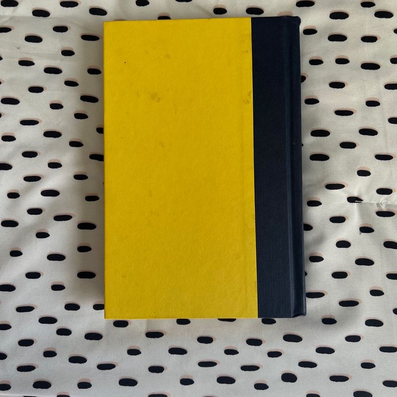 Big Swiss by Jen Beagin, Hardcover | Pangobooks