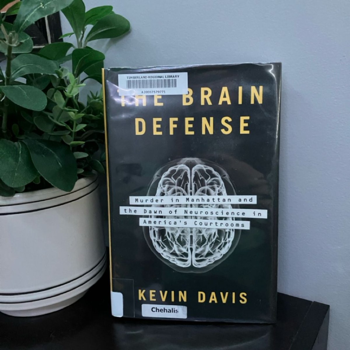 The Brain Defense by Kevin Davis