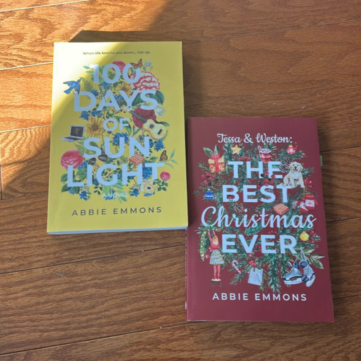 100 Days of Sunlight by Abbie Emmons