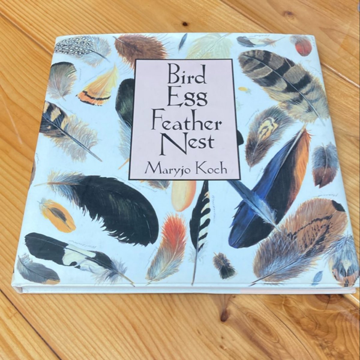 Bird, Egg, Feather, Nest by Maryjo Koch
