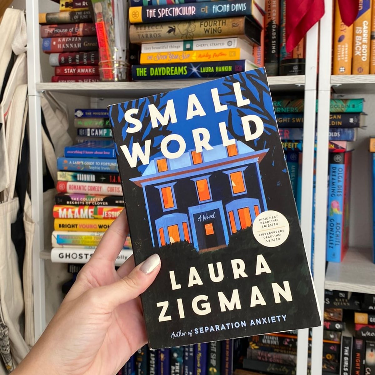 Small World by Laura Zigman