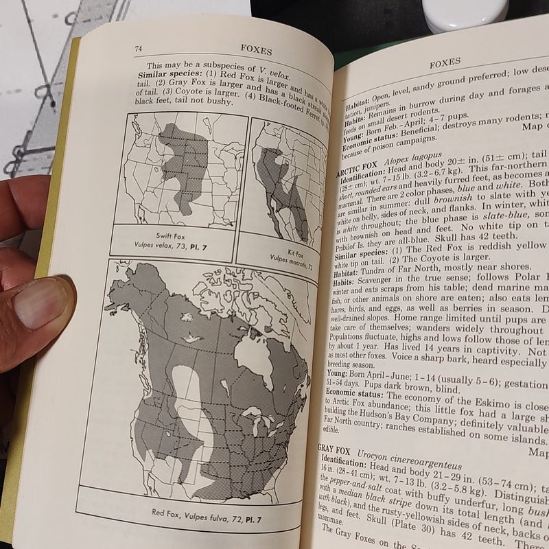 Peterson Field Guide to Mammals of North America by William Henry Burt ...