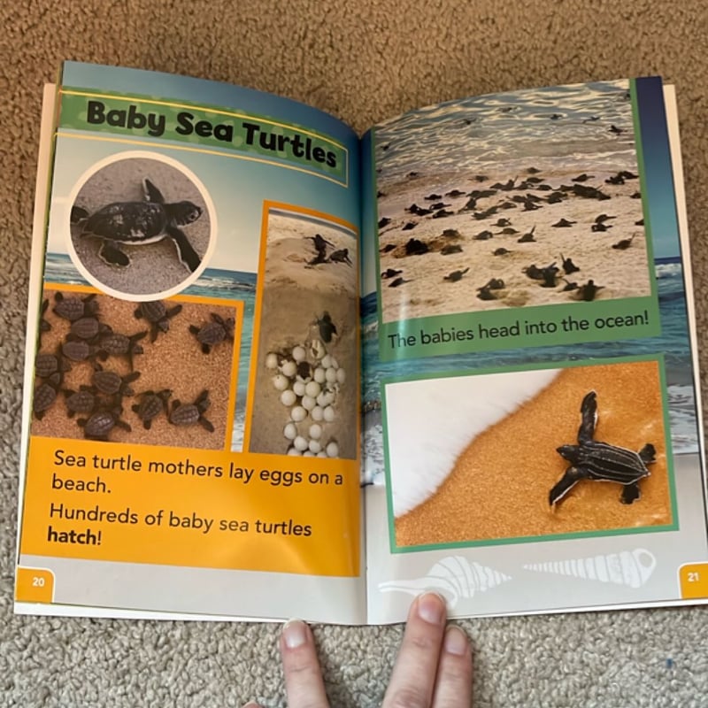 Smithsonian Kids All-Star Readers: Adorable Baby Animals Pre-Level 1 by ...