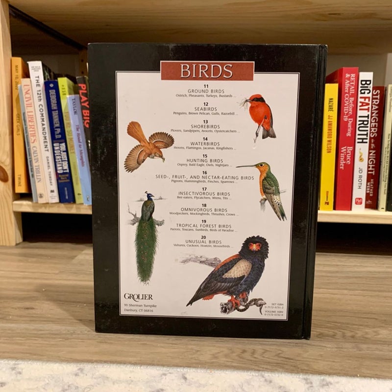 Animal Fact Files Birds by David Chandler