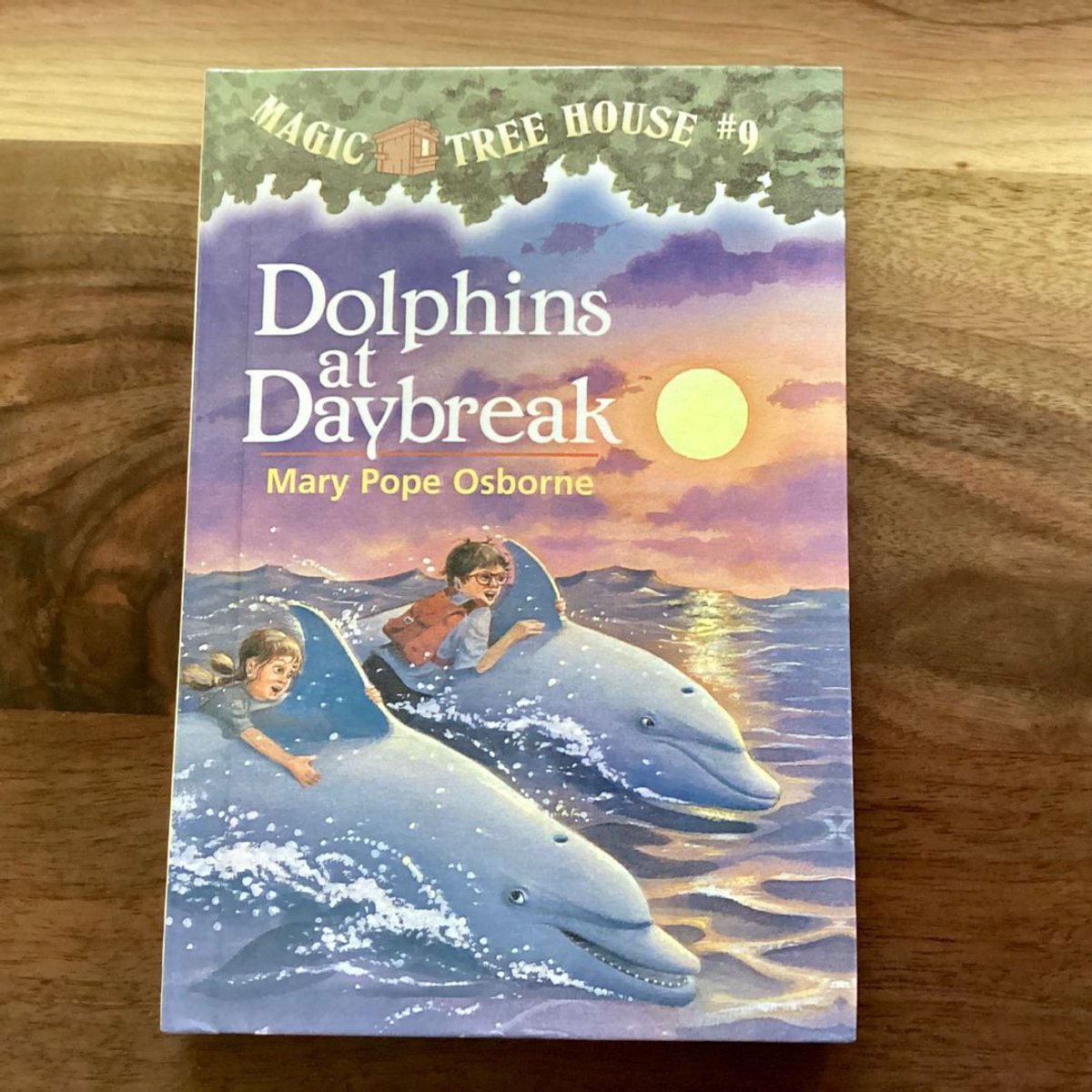 Dolphins at Daybreak by Mary Pope Osborne