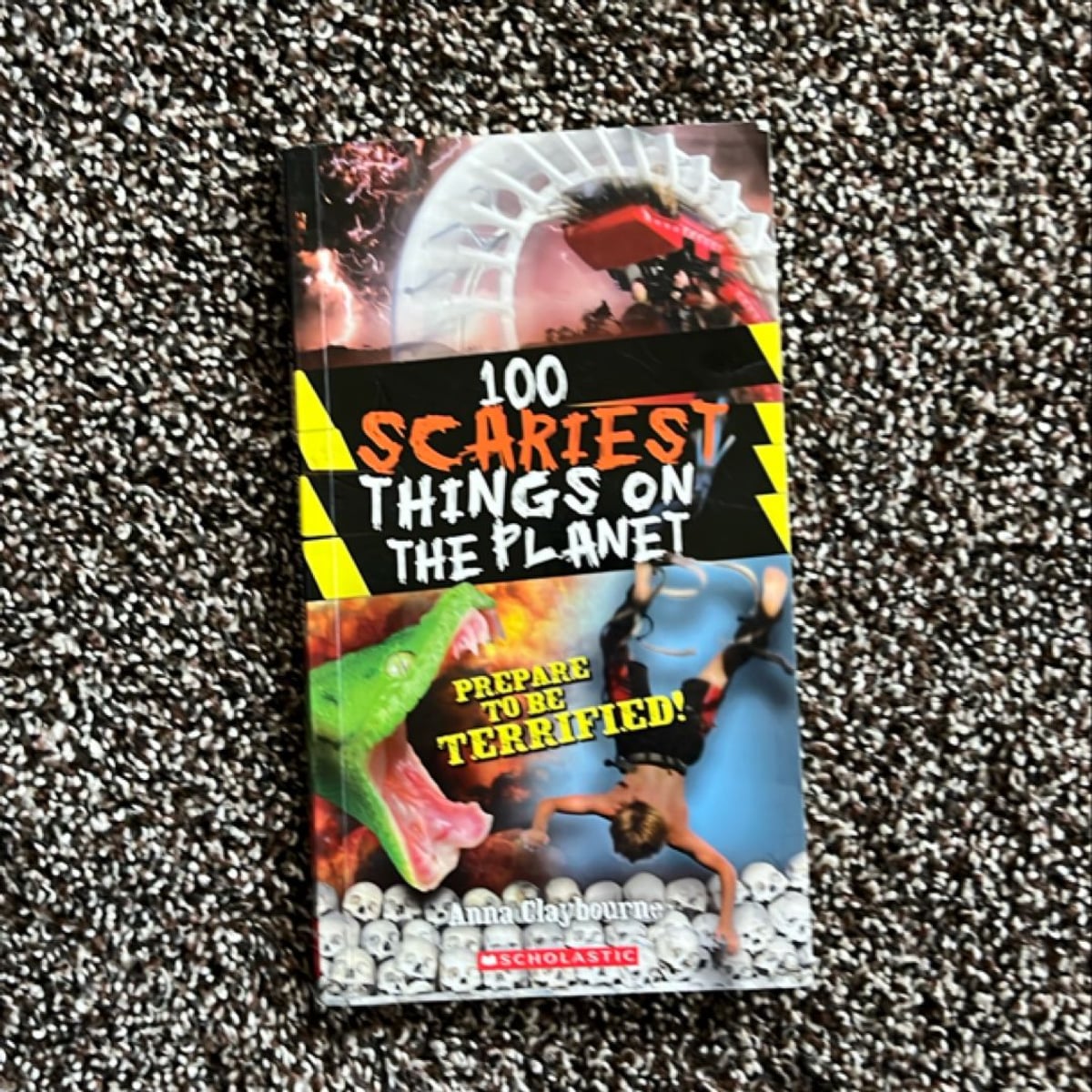 100 Scariest Things on the Planet by Anna Claybourne