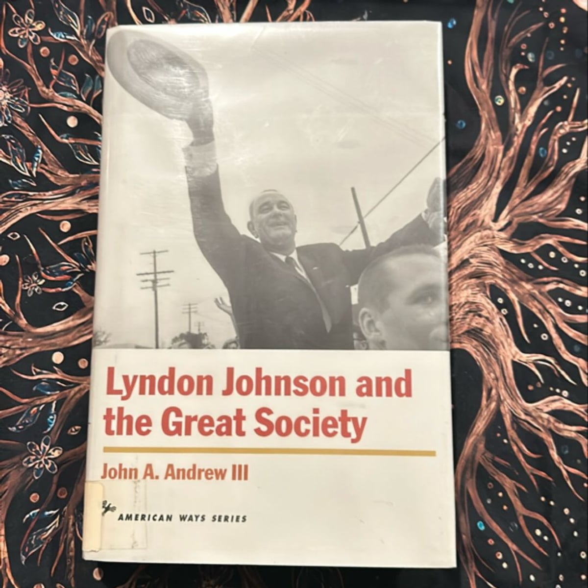 Lyndon Johnson and the Great Society by John A. Andrew