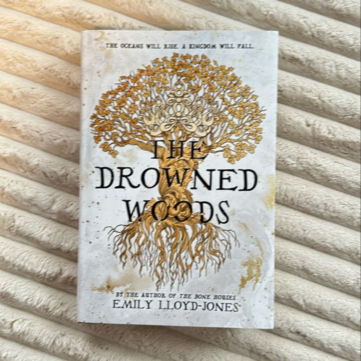 The Drowned Woods by Emily Lloyd-Jones, Hardcover | Pangobooks