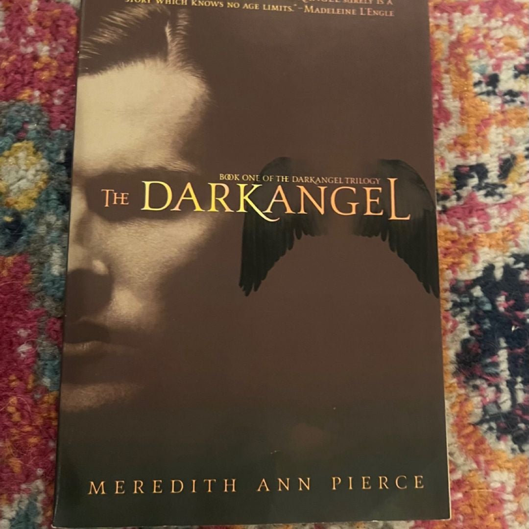 The Darkangel by Meredith Ann Pierce
