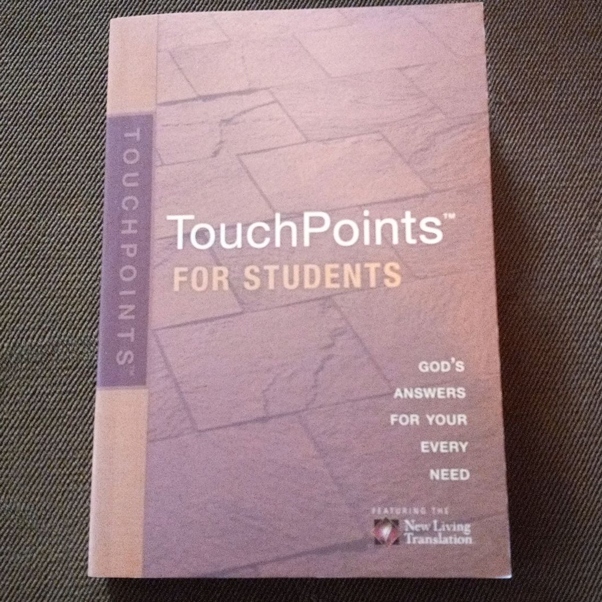 TouchPoints for Students by Ronald A. Beers, Amy E. Mason