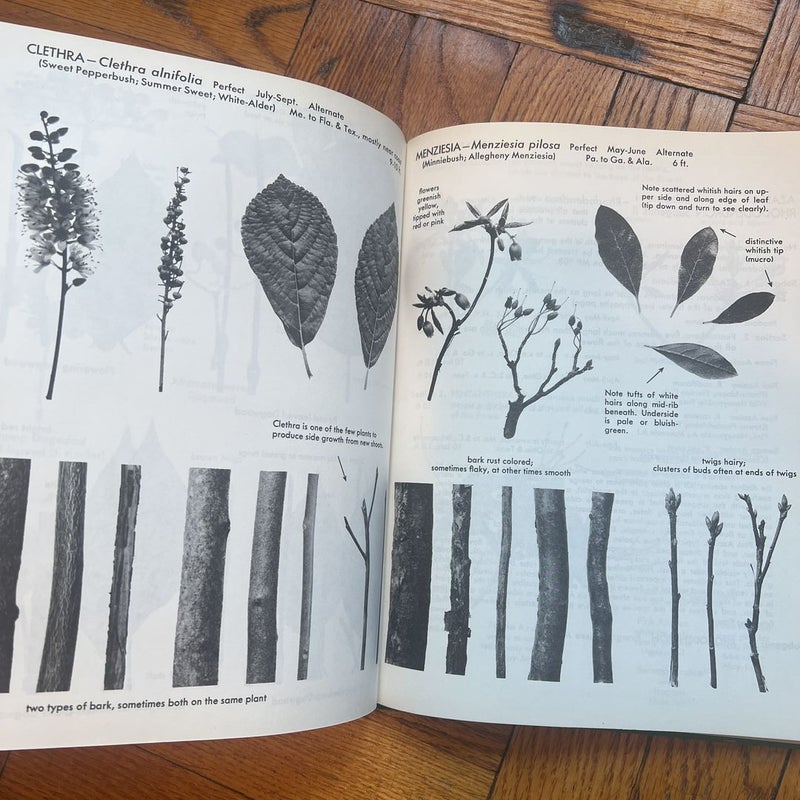 Shrub Identification Book by George W. Symonds