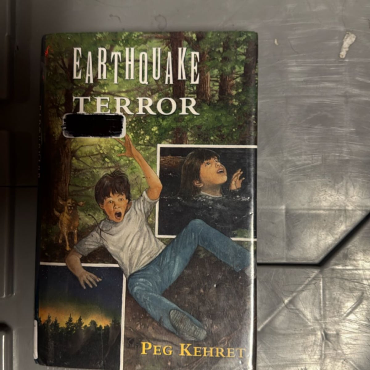Earthquake Terror by Peg Kehret