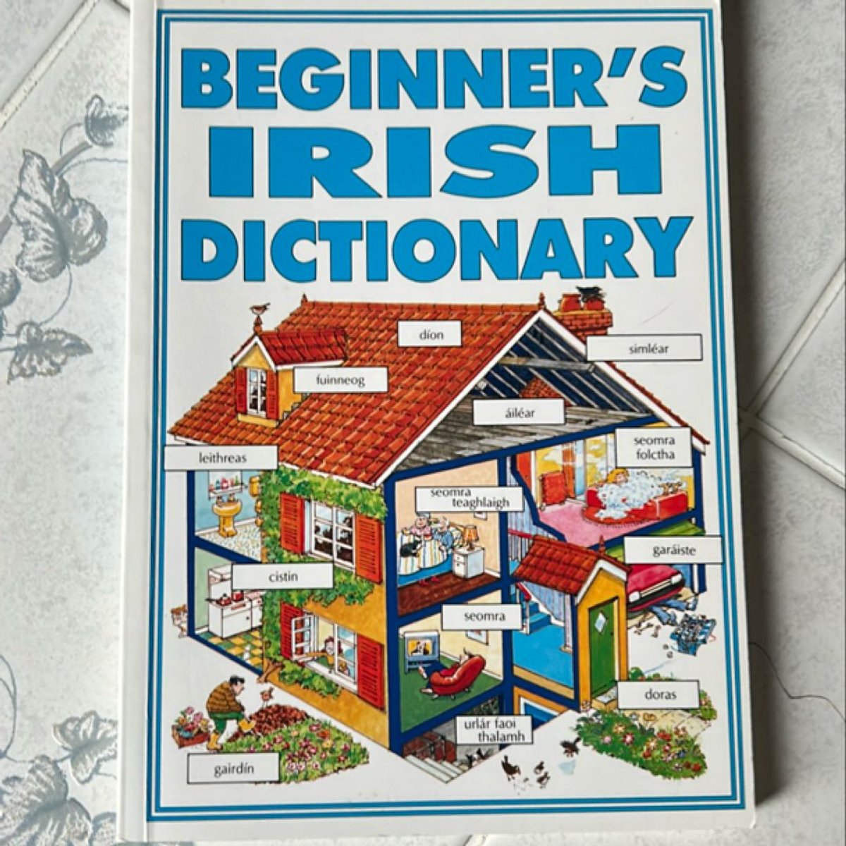 Beginner's Irish Dictionary by Helen Davies