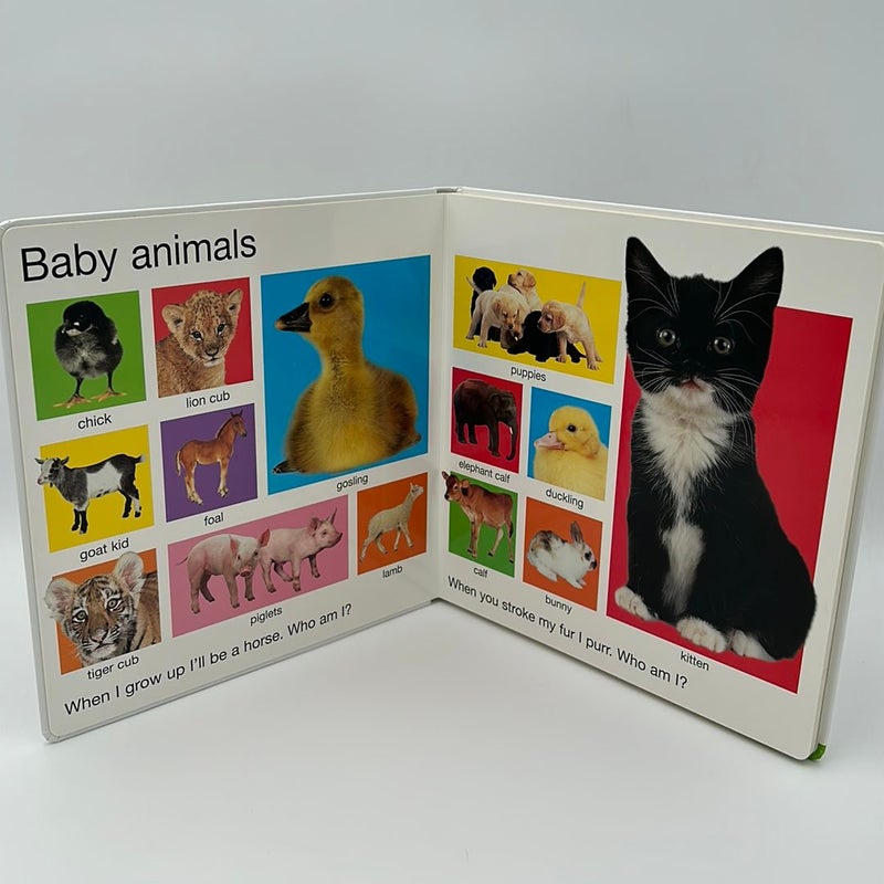 My Big Animal Book by Roger Priddy, Hardcover | Pangobooks