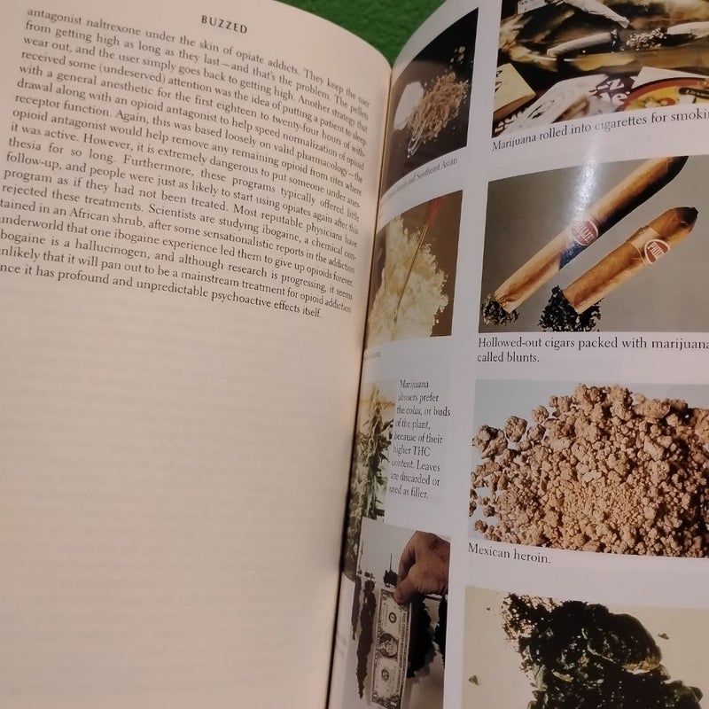 The Straight Facts about the Most Used and Abused Drugs from Alcohol to ...