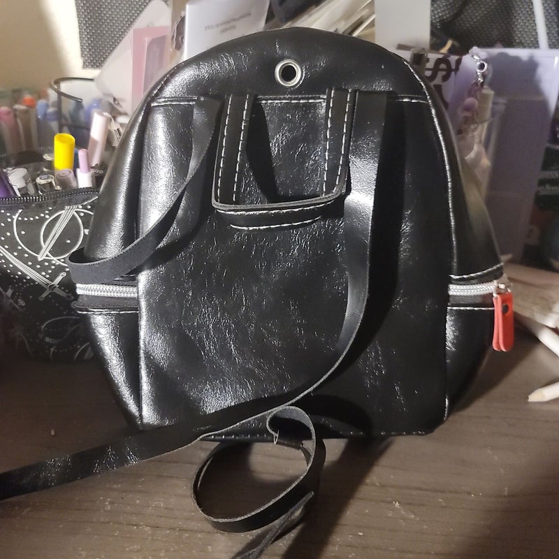 The Thirteen Blackbeak Coven Backpack and ornament bundle by Bookish ...