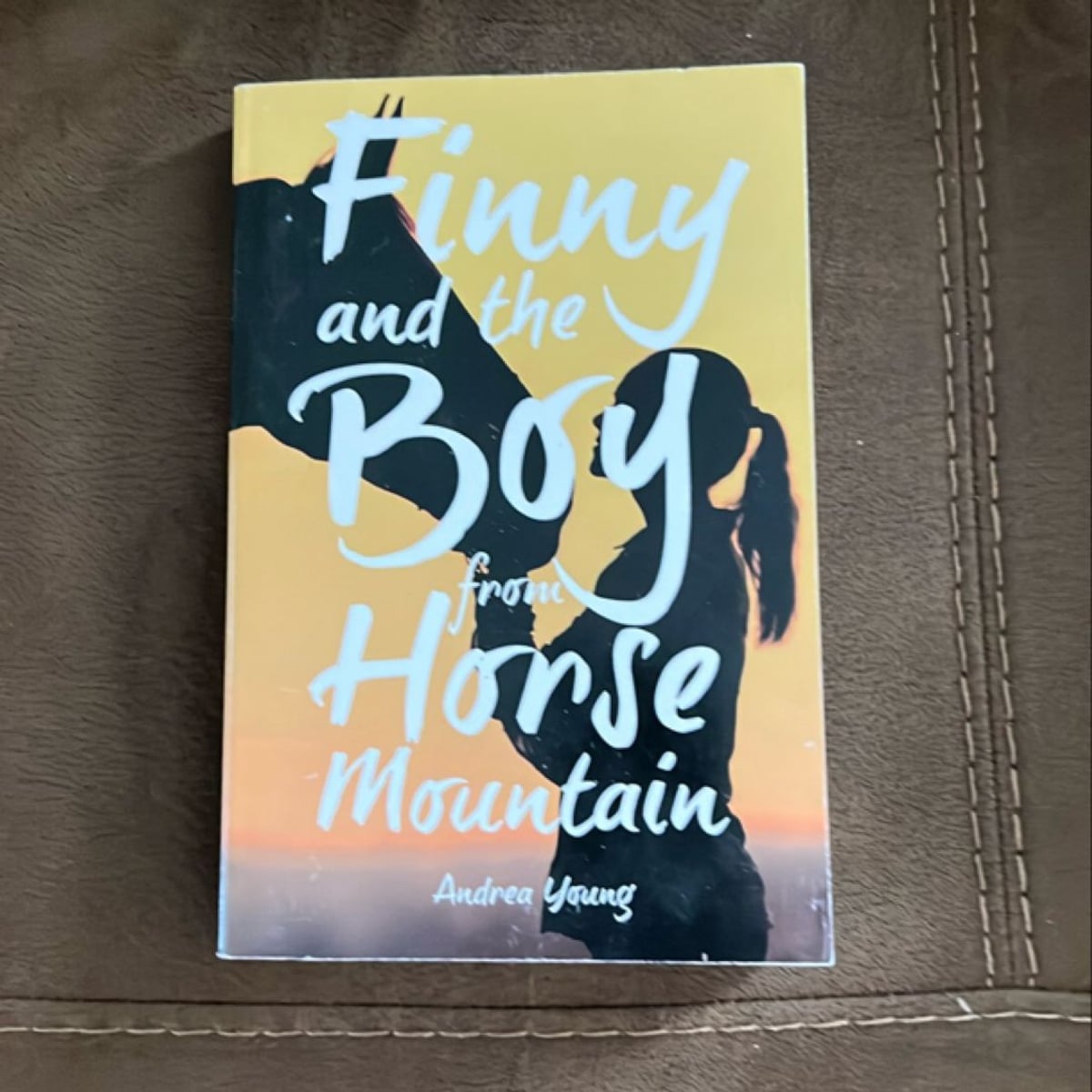 Finny and the Boy from Horse Mountain by Andrea Young