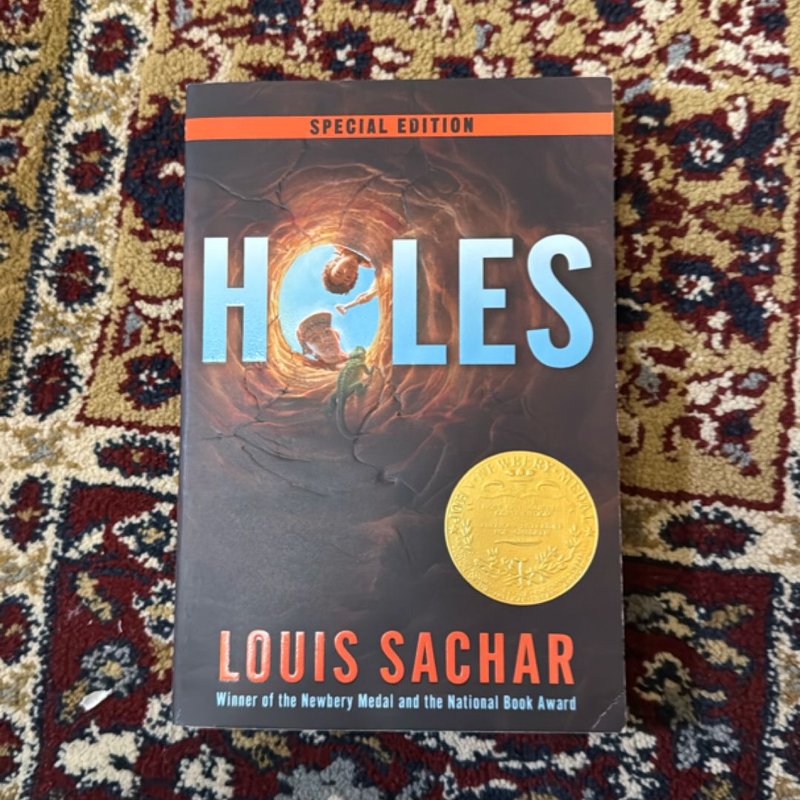 Holes by Louis Sachar, Paperback | Pangobooks