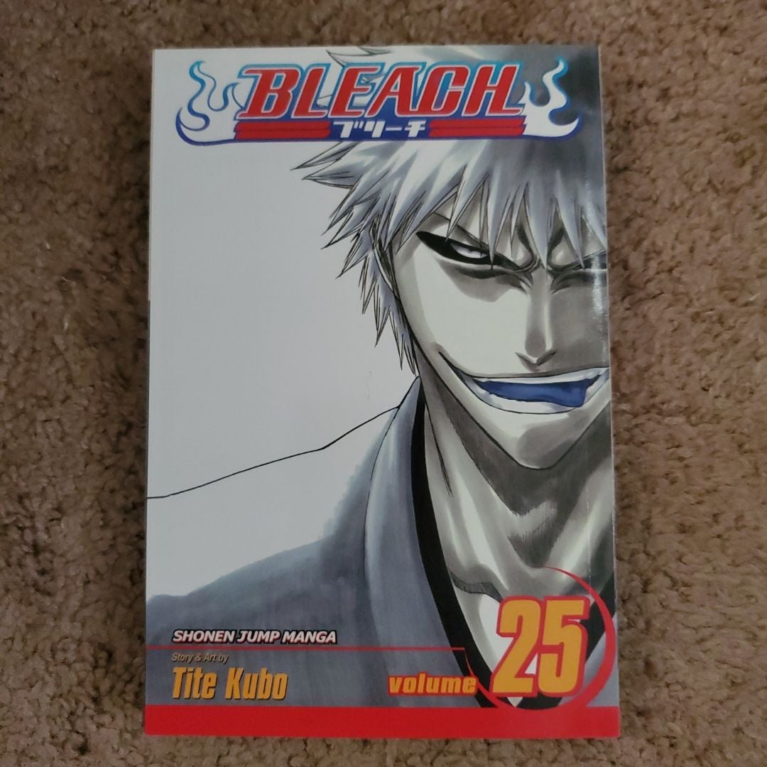 Bleach, Vol. 25 by Tite Kubo