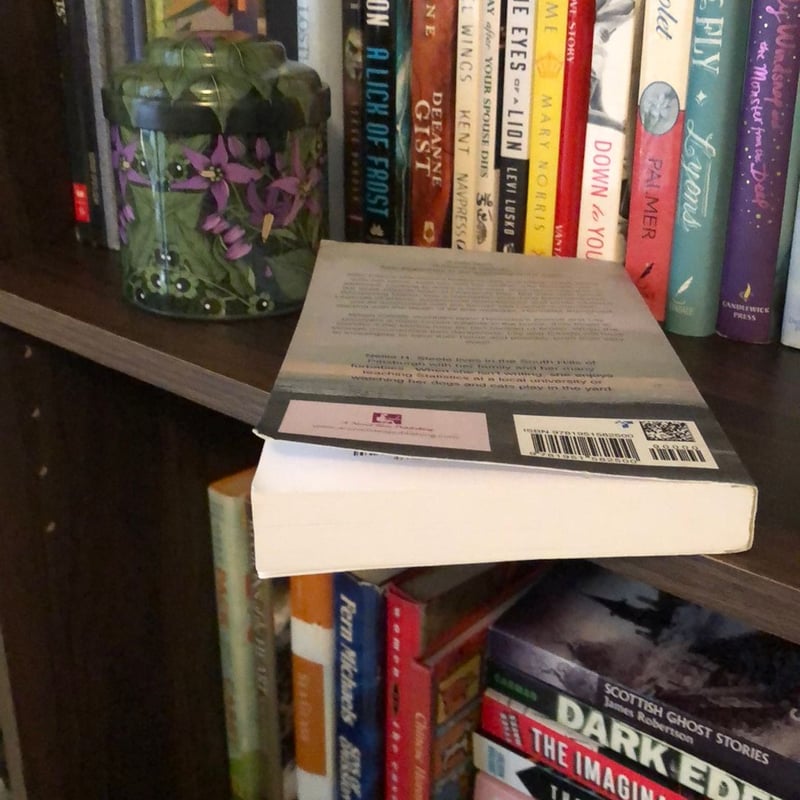 Ghosts Lore & House By The Shore by , Paperback | Pangobooks