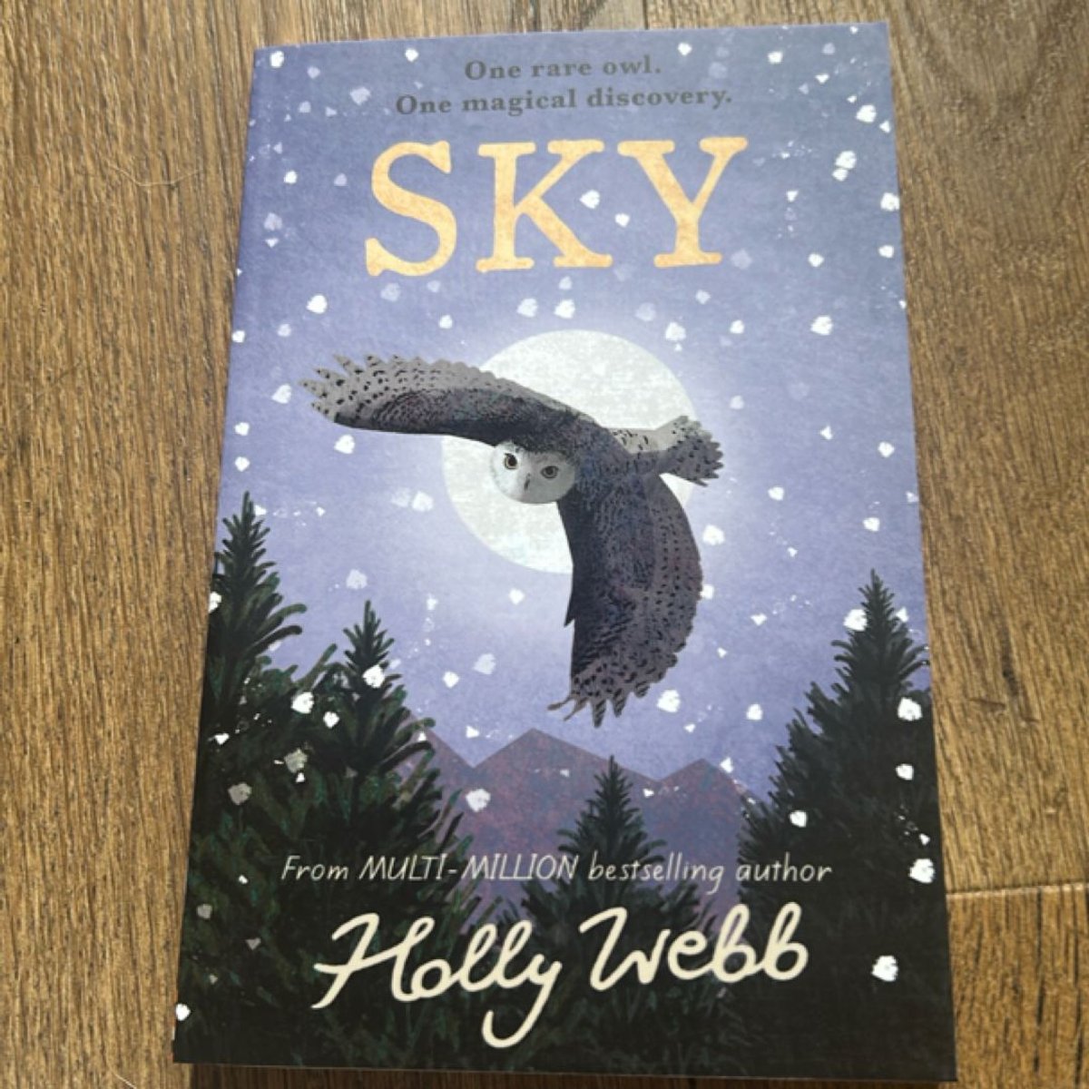 Sky the Unwanted Kitten by Holly Webb; Sophy Williams (Illustrator)