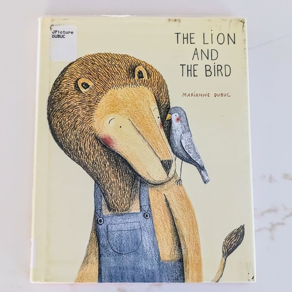 The Lion and the Bird by Marianne Dubuc