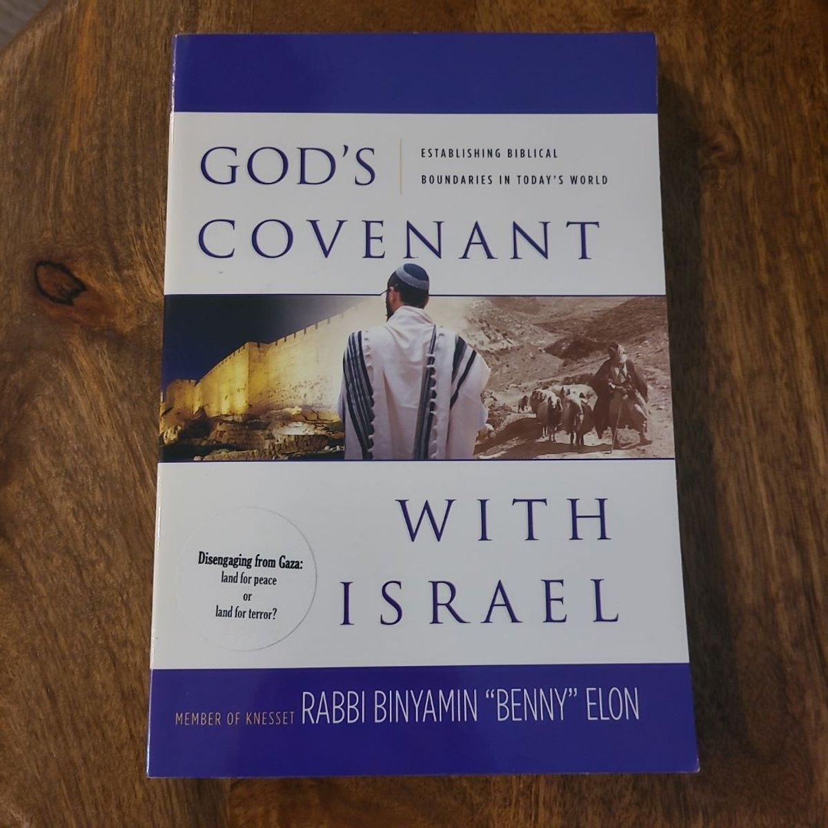 God's Covenant with Israel by Binyamin Elon