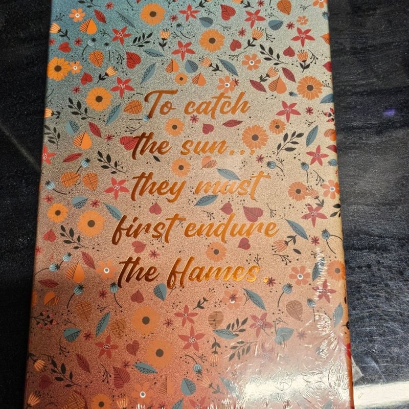 Catch The Sun by Jennifer Hartmann, Hardcover | Pangobooks