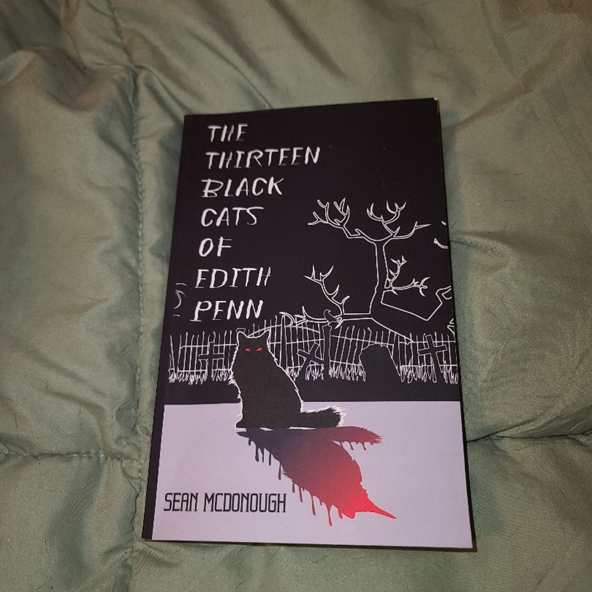 The Thirteen Black Cats of Edith Penn by McDonough