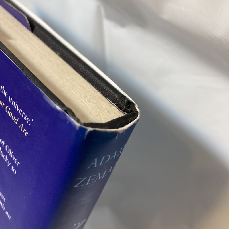 A Portrait of the Brain by Adam Zeman, Hardcover | Pangobooks