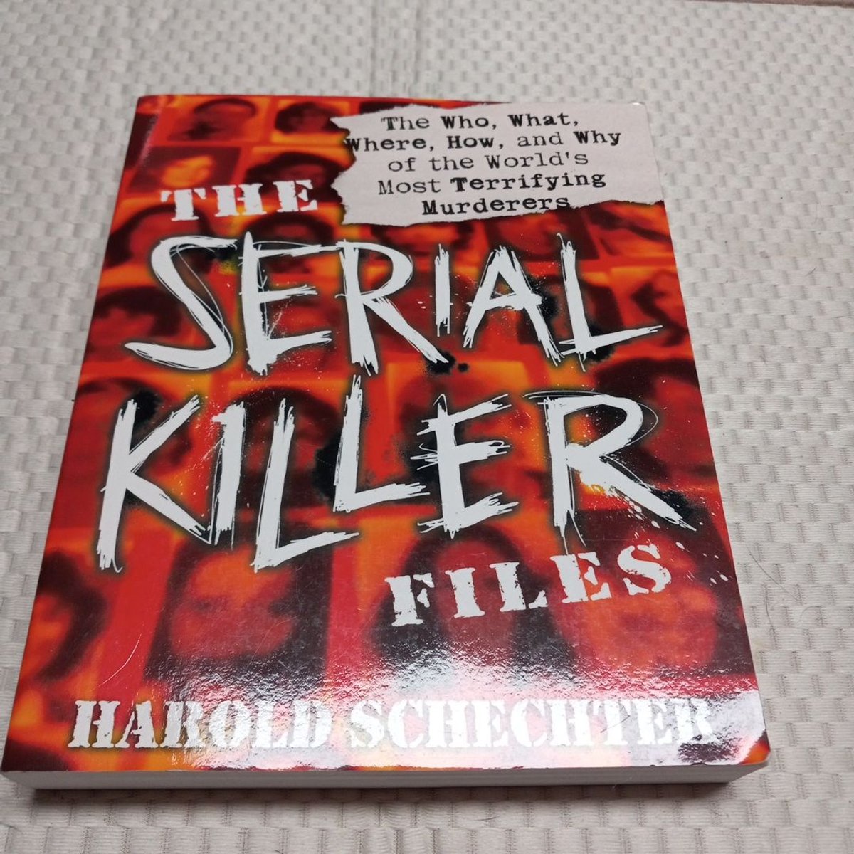The Serial Killer Files by Harold Schechter