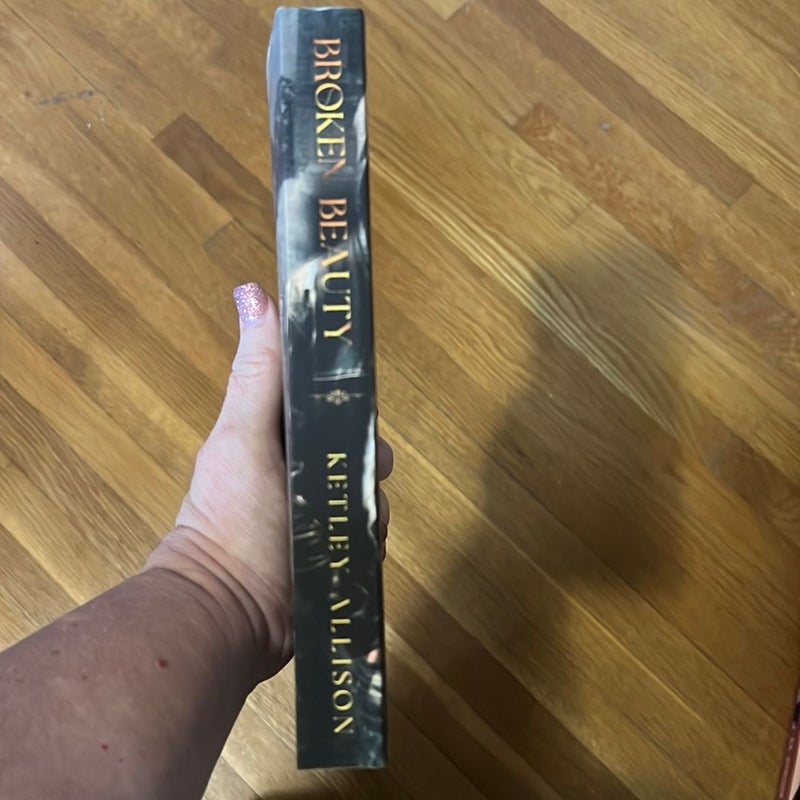 Broken Beauty OOP cover by Ketley Allison, Paperback | Pangobooks