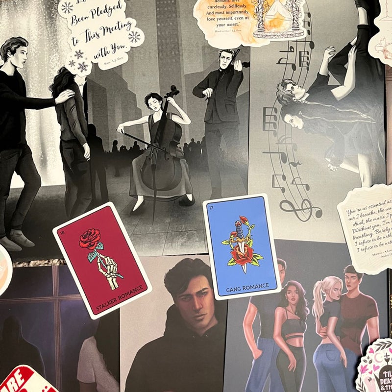 Special edition book box swag by Sj tilly, Hd Carlton, Shantel tessier ...