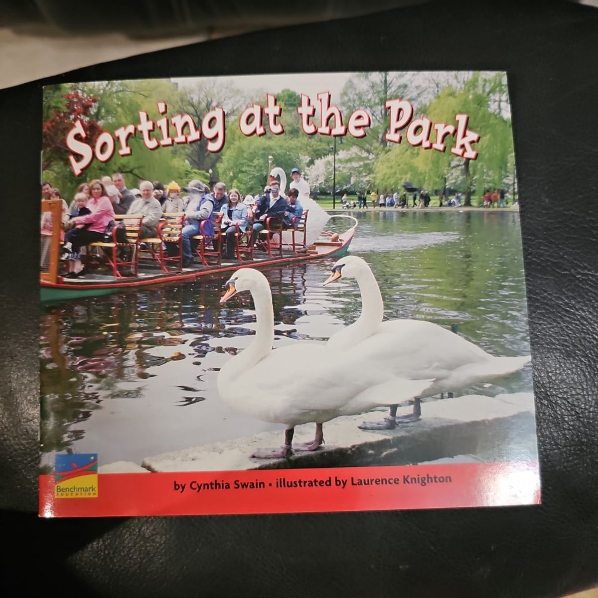 Sorting at the Park by Cynthia Swain