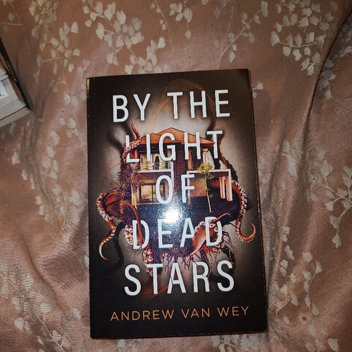 By the Light of Dead Stars by Andrew Van Wey