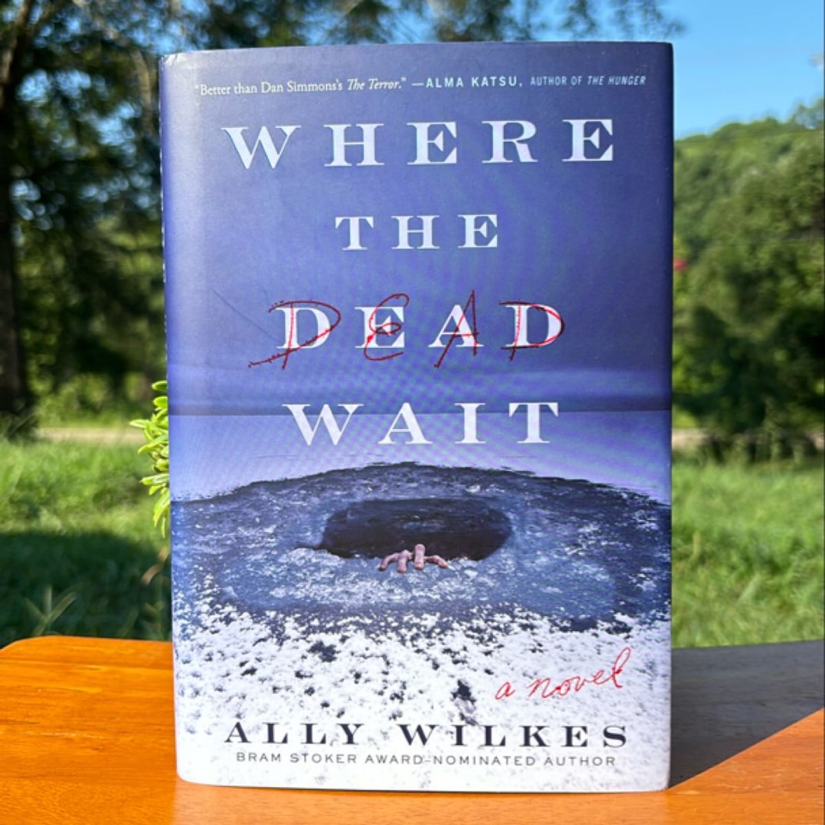 Where the Dead Wait by Ally Wilkes