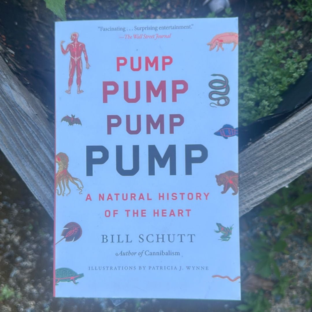 Pump by Bill Schutt