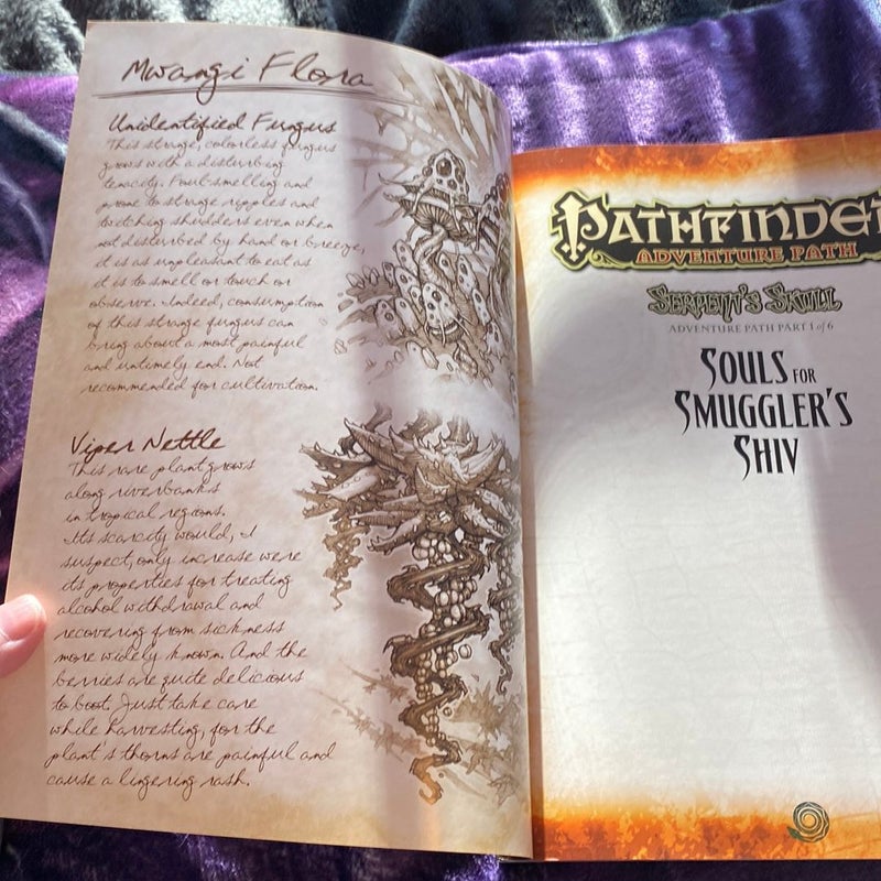 Pathfinder Adventure Path by James Jacobs, Paperback | Pangobooks