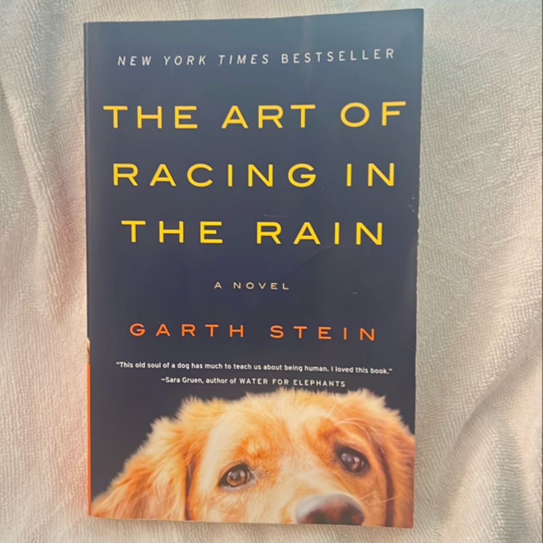 The Art of Racing in the Rain by Garth Stein, Paperback | Pangobooks