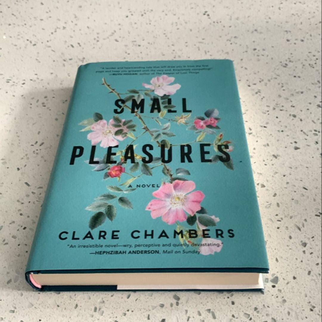 Small Pleasures by Clare Chambers