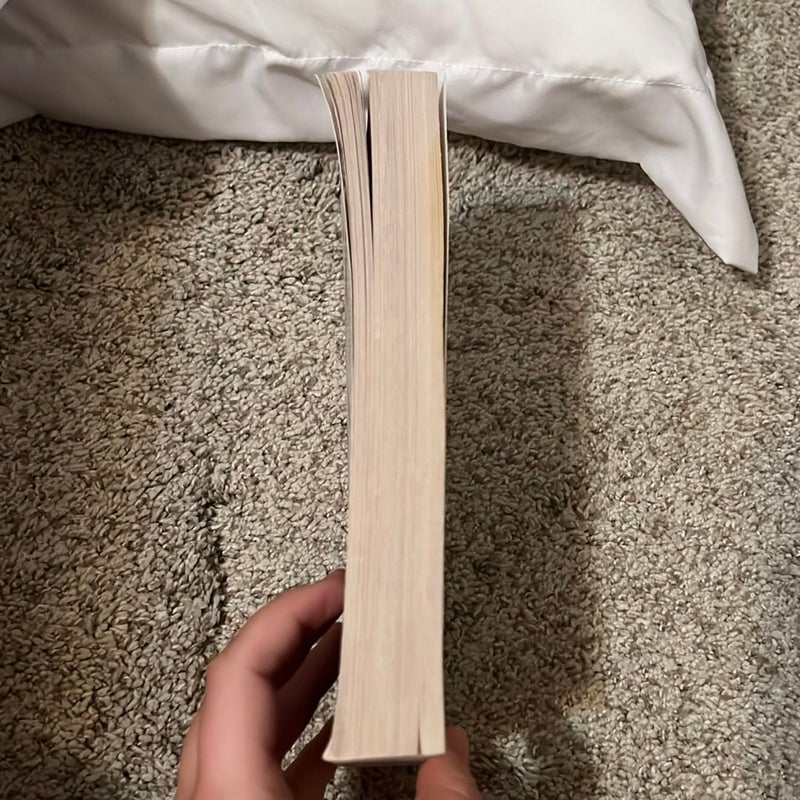 The Simple Wild by K. A. Tucker, Paperback | Pangobooks