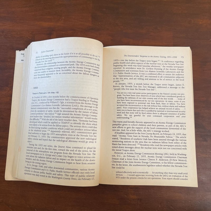 Justice Downwind by Howard Ball